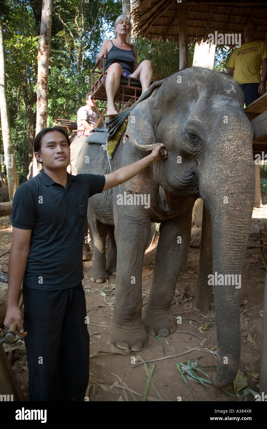 Elephant Riding In Ko Chang Thailand South East Asia Stock Photo - Alamy