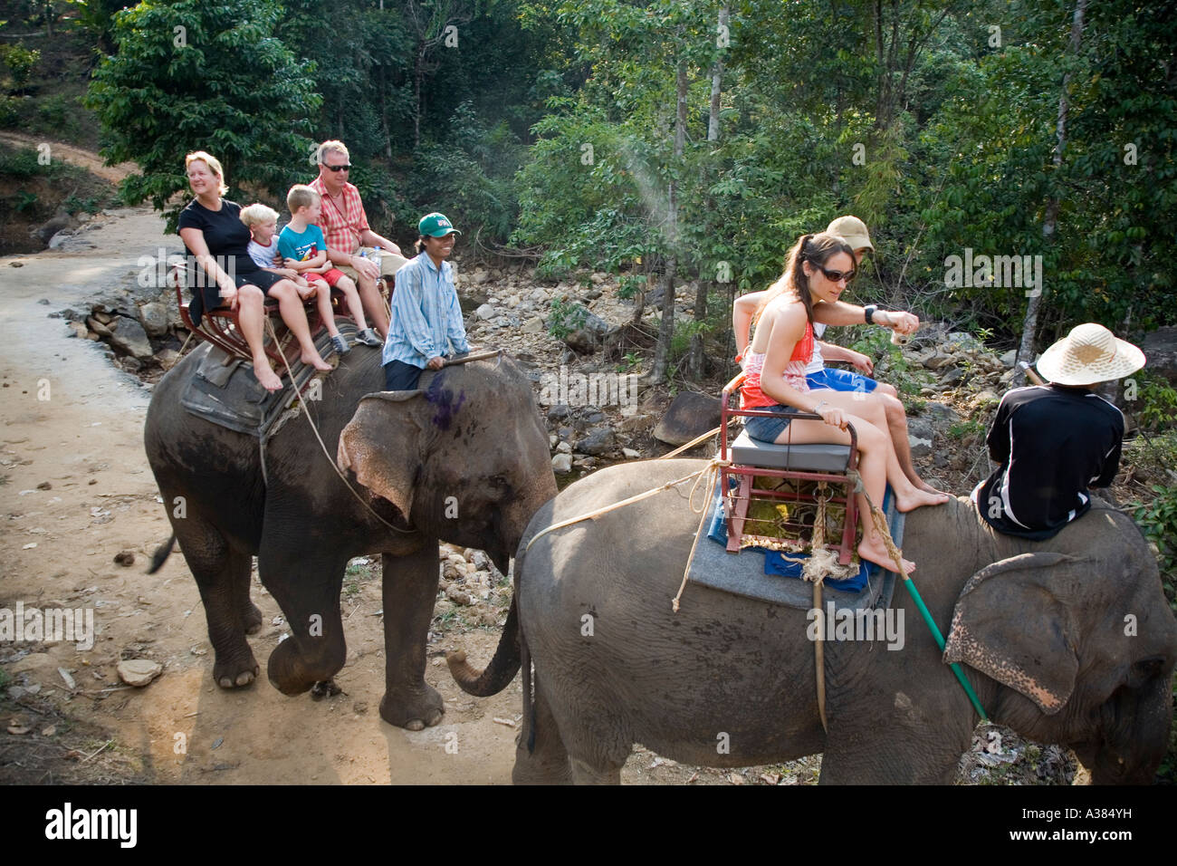 Elephant riding hi-res stock photography and images - Alamy