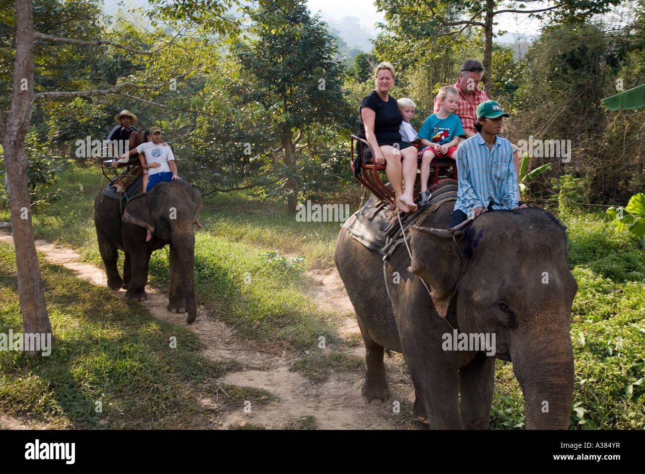 Transport elephant hi-res stock photography and images - Alamy