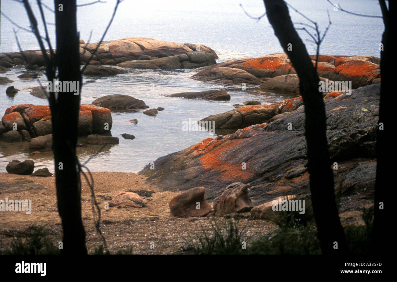 Bicheno Beach Tasmania Stock Photo - Alamy