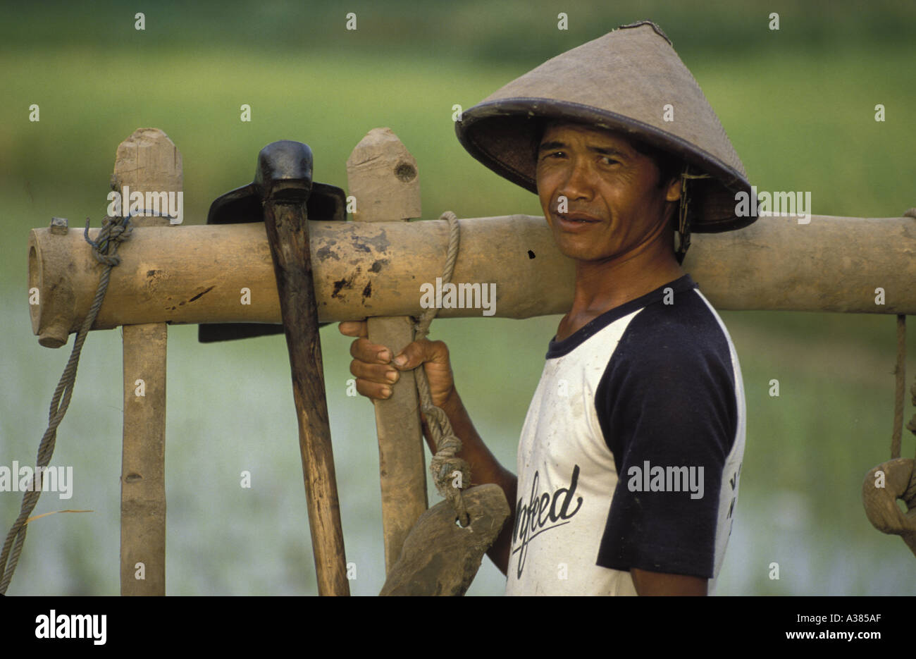 A Javanese farmer tends his paddy field Klaten central farming region ...