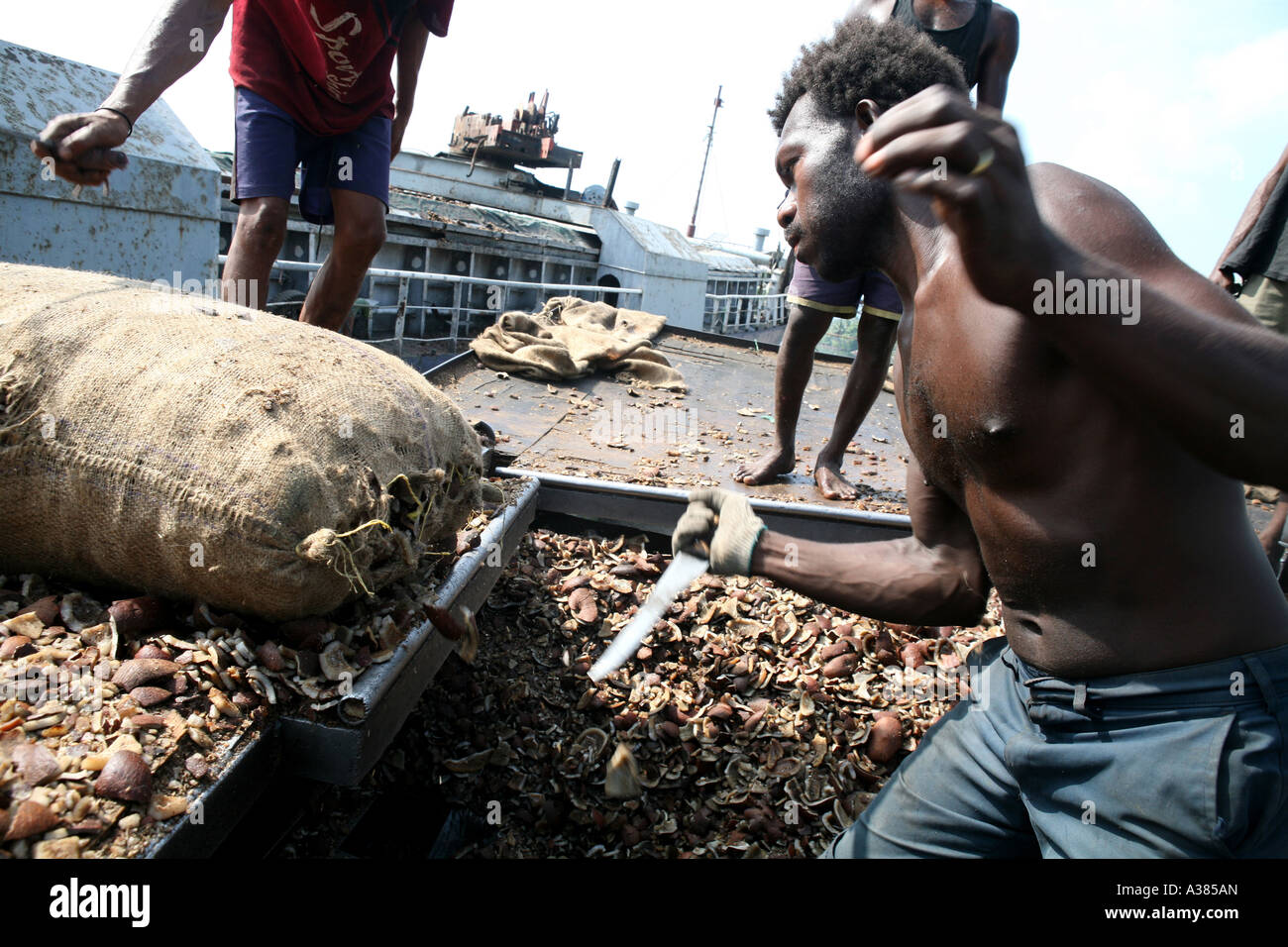 Men unloading sacks of copra ready for processing at CPL, Rabaul, East ...