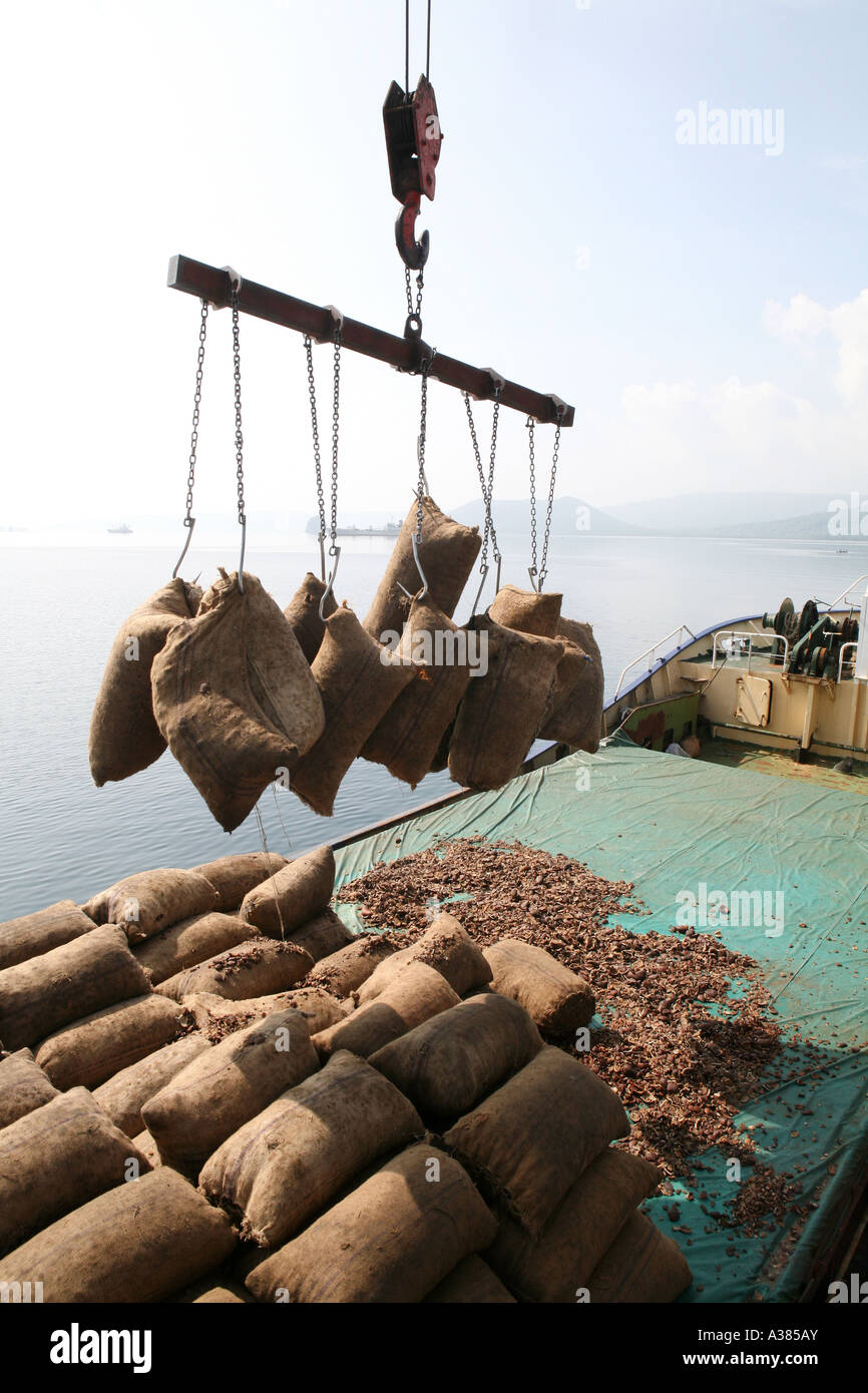 Copra hi-res stock photography and images - Alamy