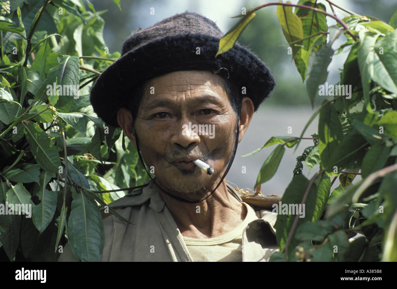 Javanese farmer hi-res stock photography and images - Alamy