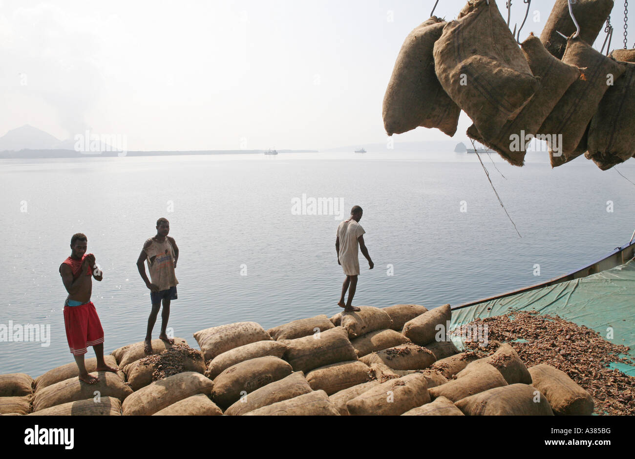 Men processing coconut hi-res stock photography and images - Alamy