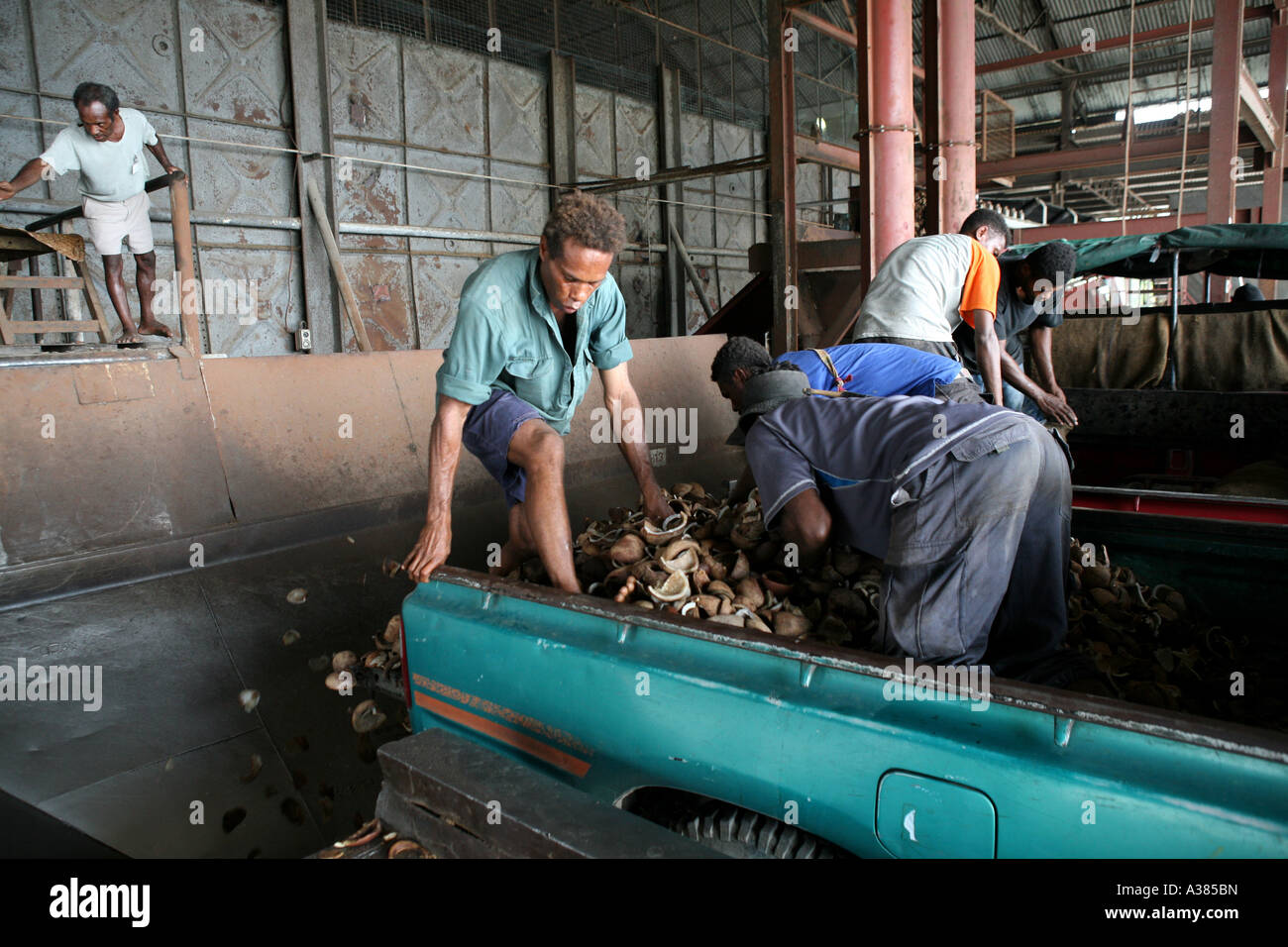 Men unloading copra from the back of a ute ready for processing at CPL ...