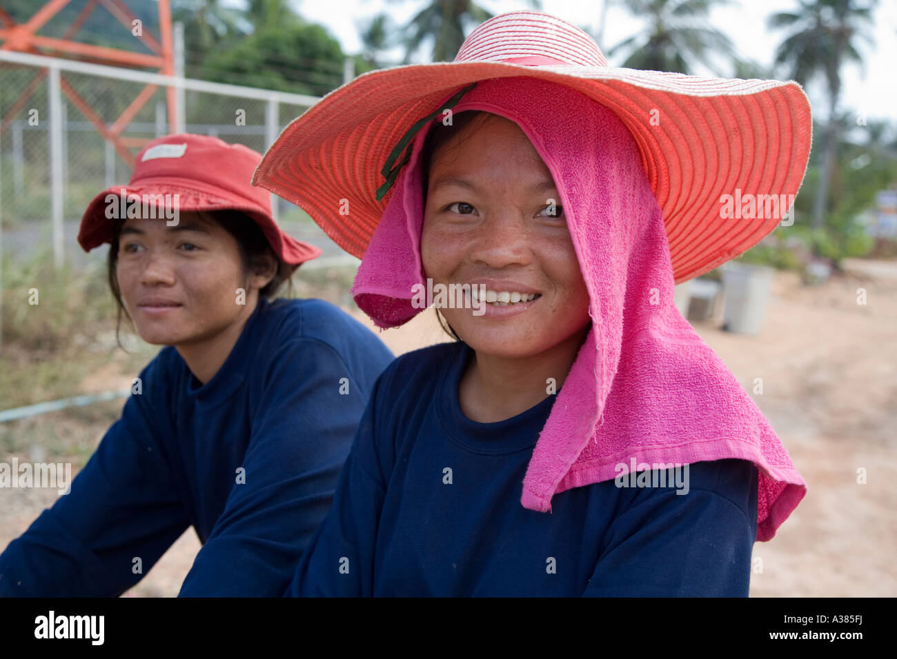 Thailand workers hi-res stock photography and images - Alamy
