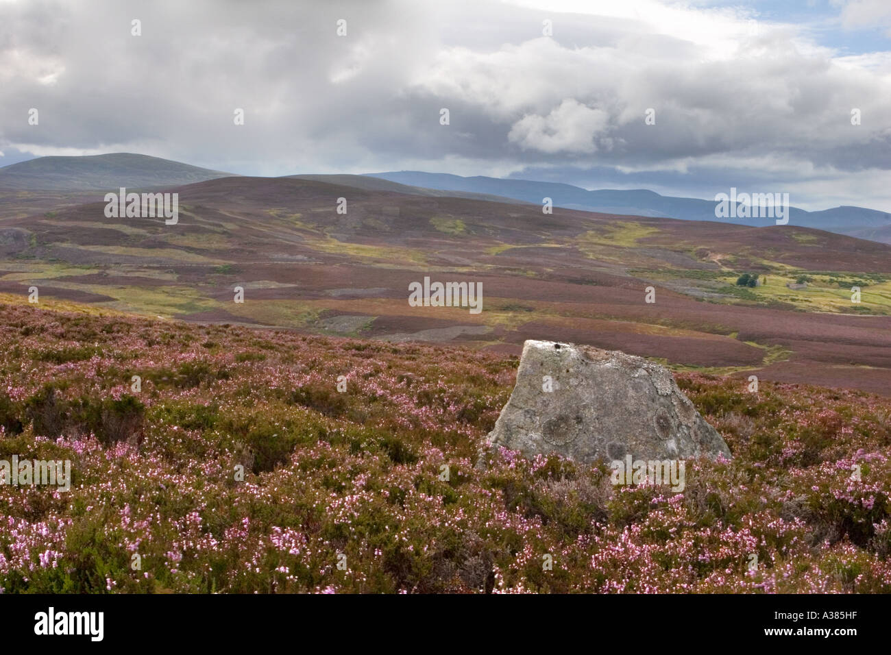 Scottish landscapes august hi-res stock photography and images - Alamy