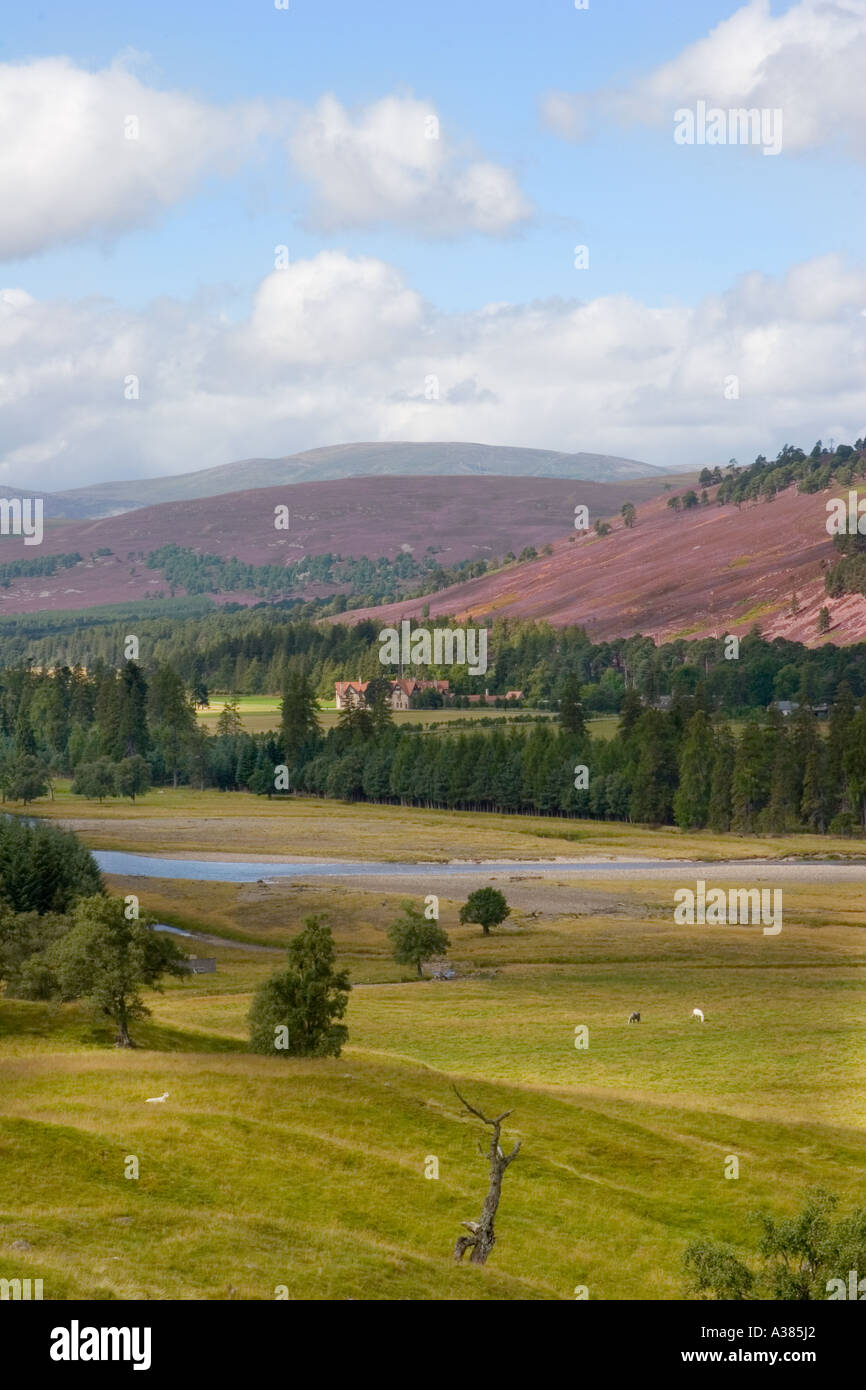 Scottish August landscape Mar Lodge Estate and the River Dee valley ...