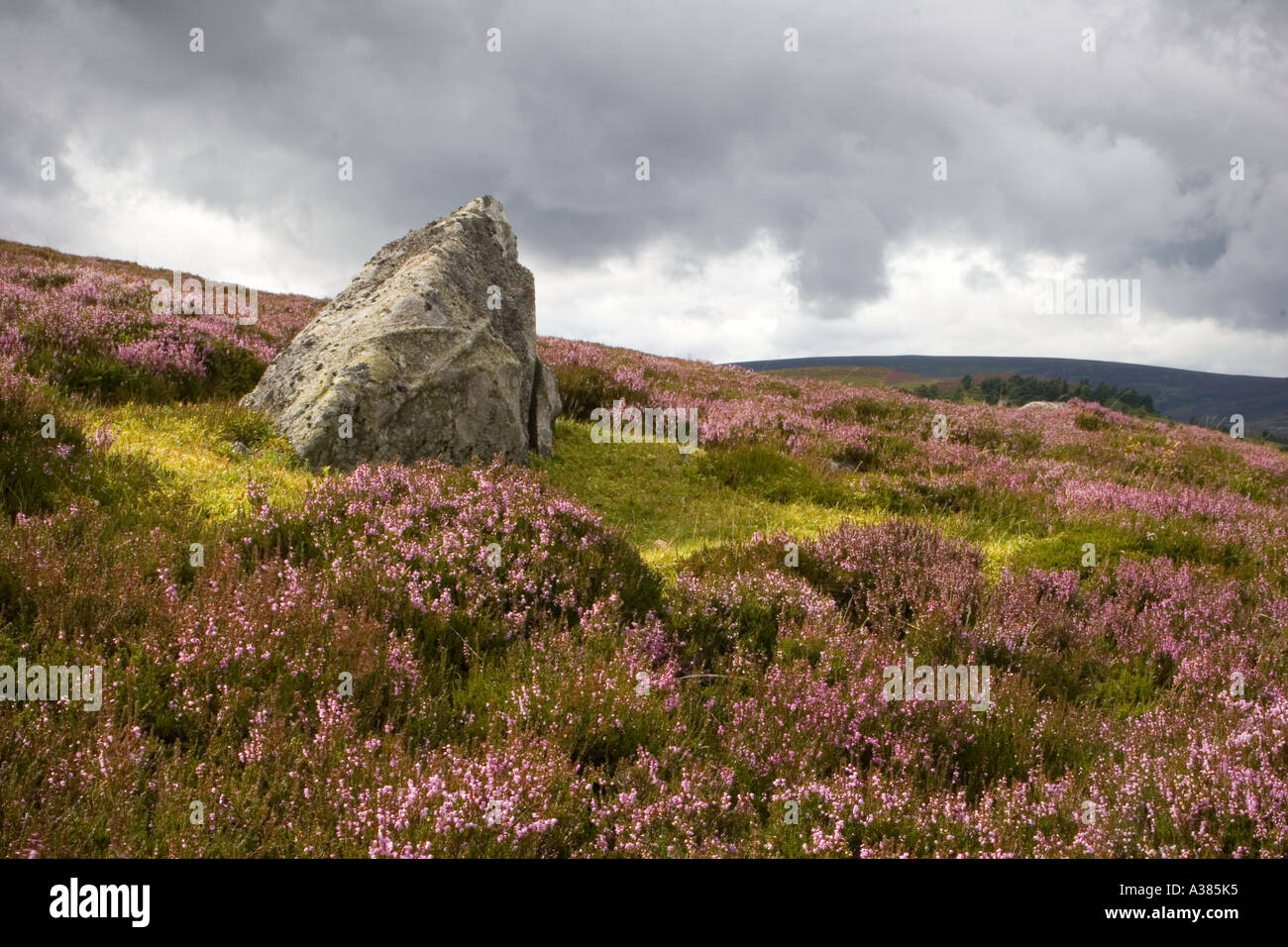 Glacial erratic rock, glacially deposited boulders, rocks; Scottish ...