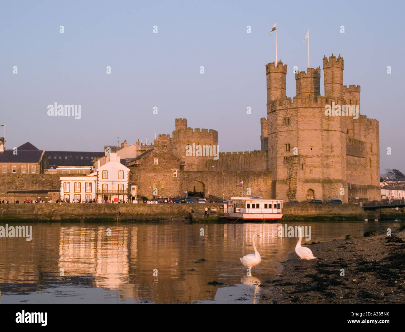 CAERNARFON CASTLE 1295 built by Edward 1st Caernarfon Gwynedd North ...