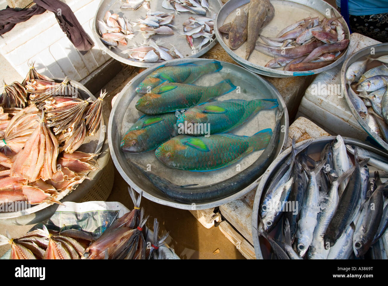 Rainbow Fish At The Fish Market Na Thon Ko Samui Thailand South East ...