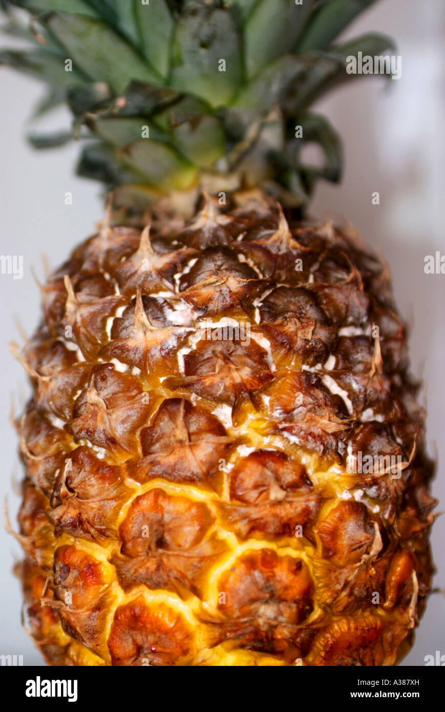A high colour pineapple set against a plain background Stock Photo - Alamy
