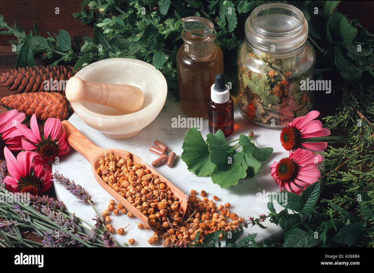 Dried ginkgo biloba leaves hi-res stock photography and images - Alamy