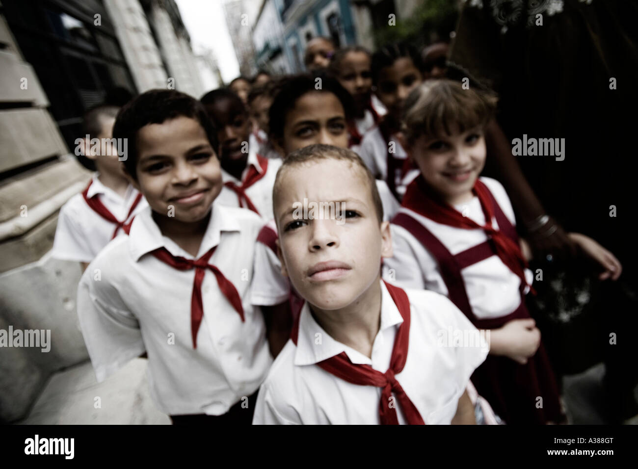Schoolkids wearing red scarves look into a camera with curiosity Stock ...