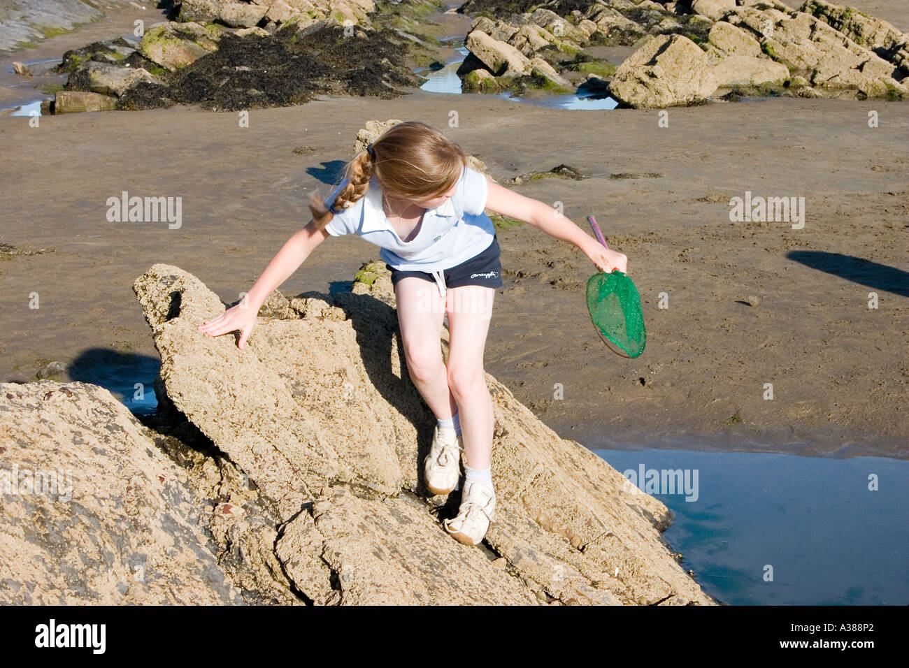 Rock pooling beach hi-res stock photography and images - Alamy