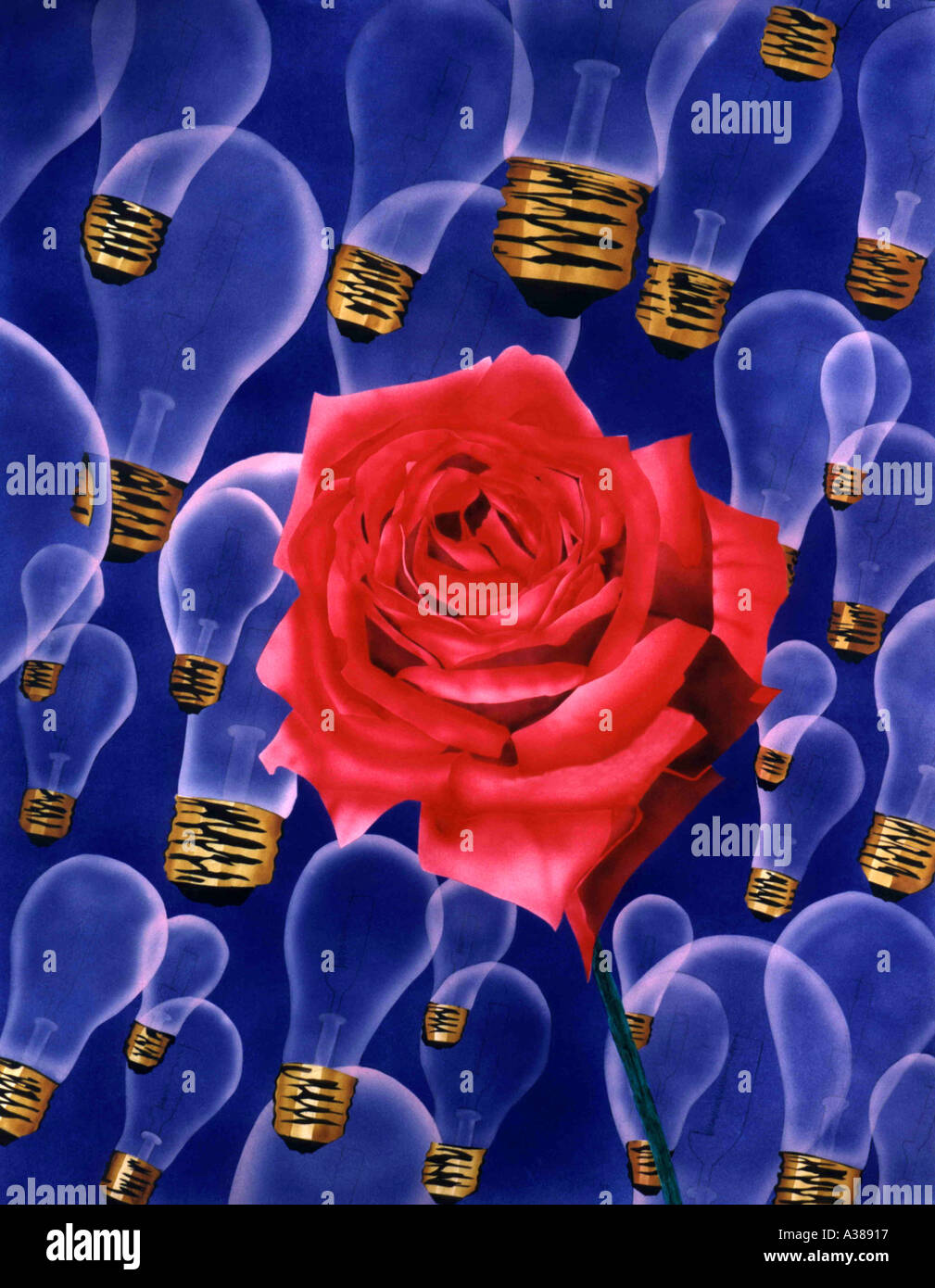 Rose Airbrush High Resolution Stock Photography and Images - Alamy