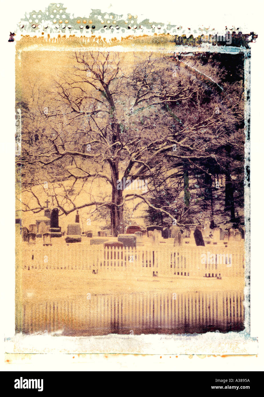 Elm tree in graveyard hi-res stock photography and images - Alamy