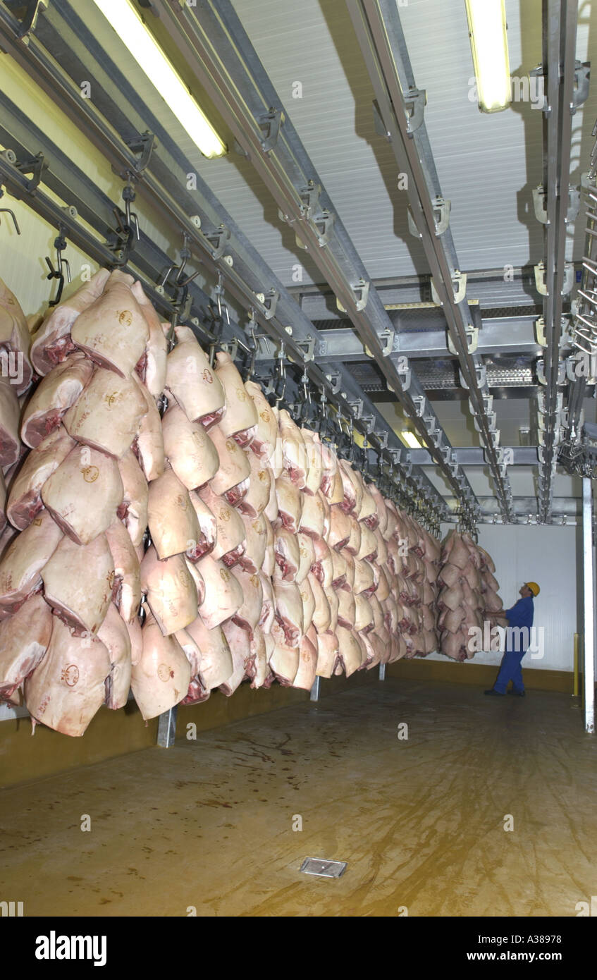 Cold storage of meat Stock Photo - Alamy