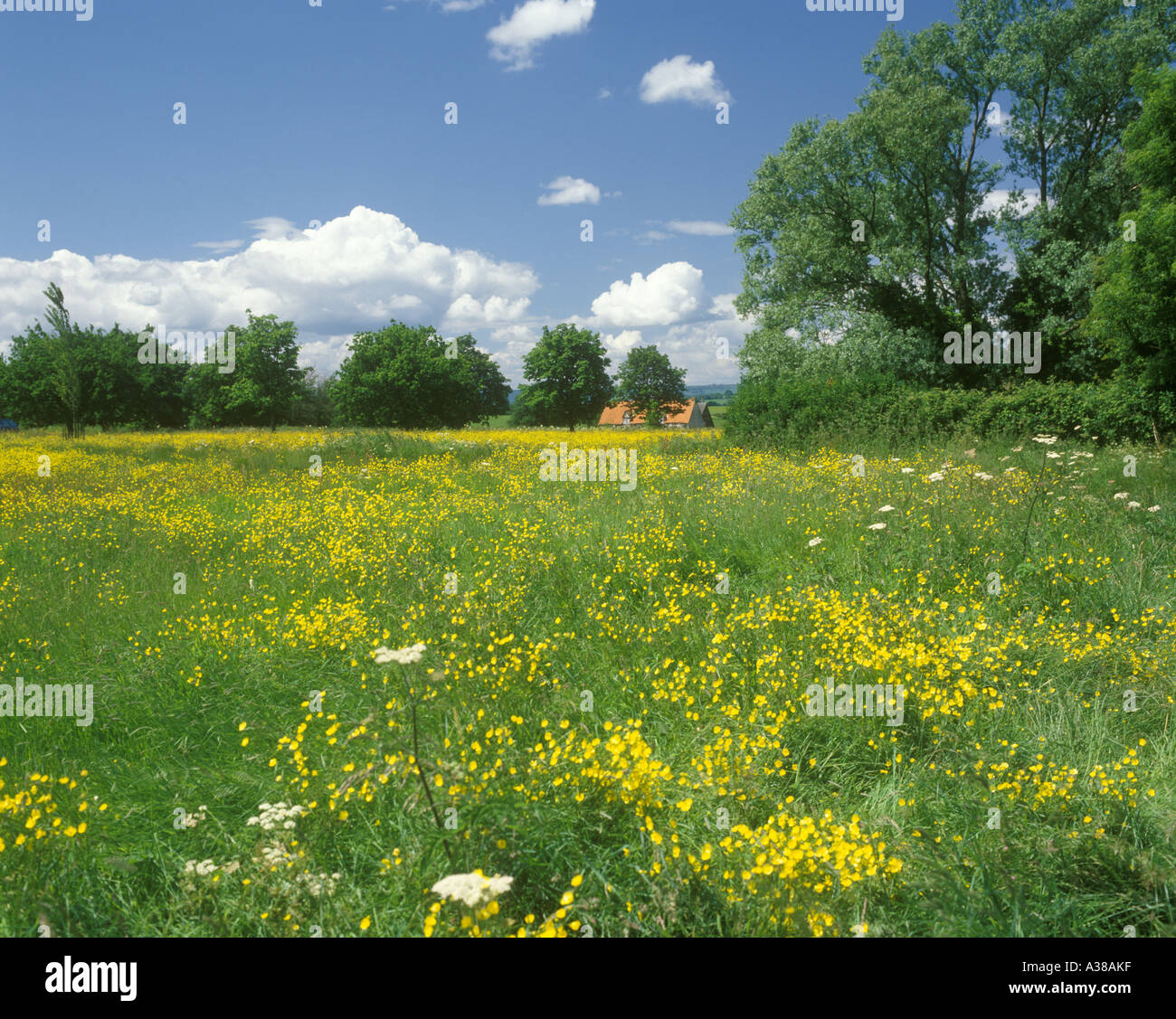 Whaddon gloucester hi-res stock photography and images - Alamy