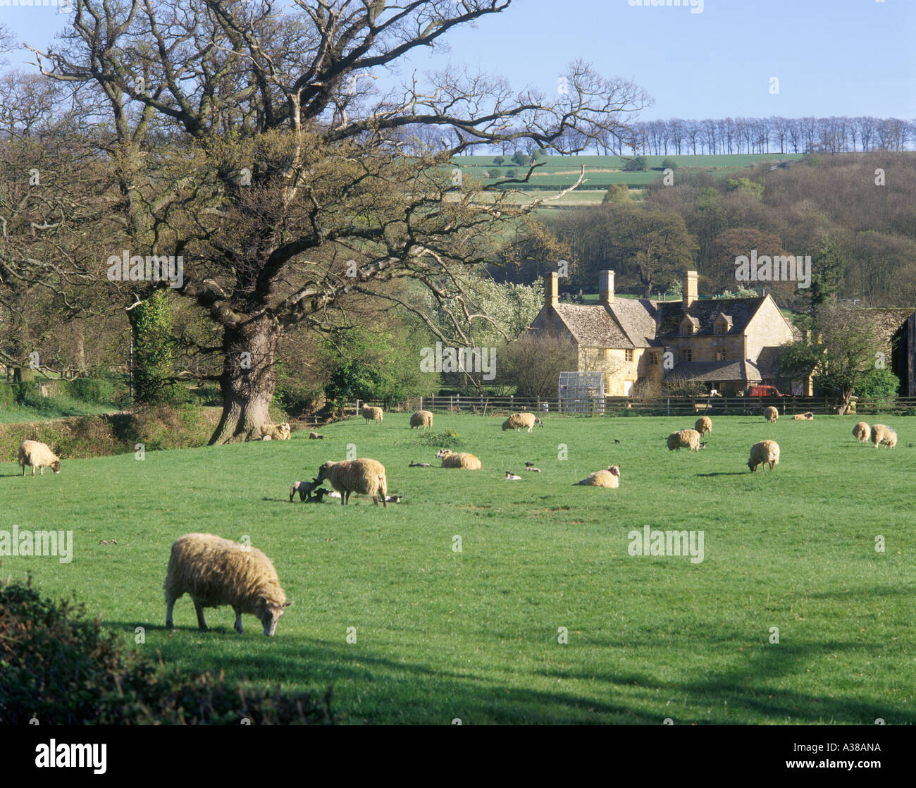 Wood sheep hi-res stock photography and images - Alamy
