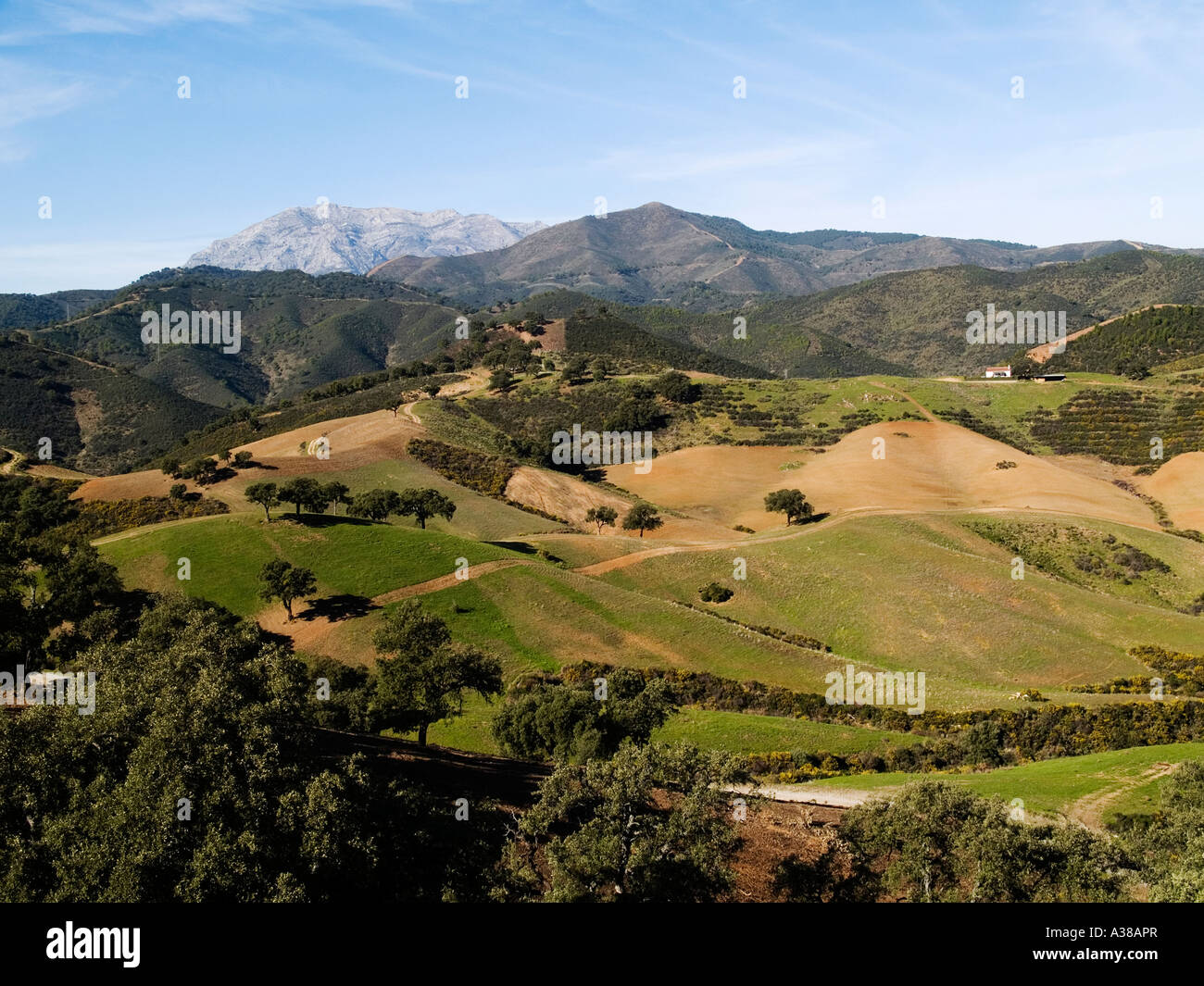 Typical Andalucian countryside near Monda Marbella Andalusia Spain ...