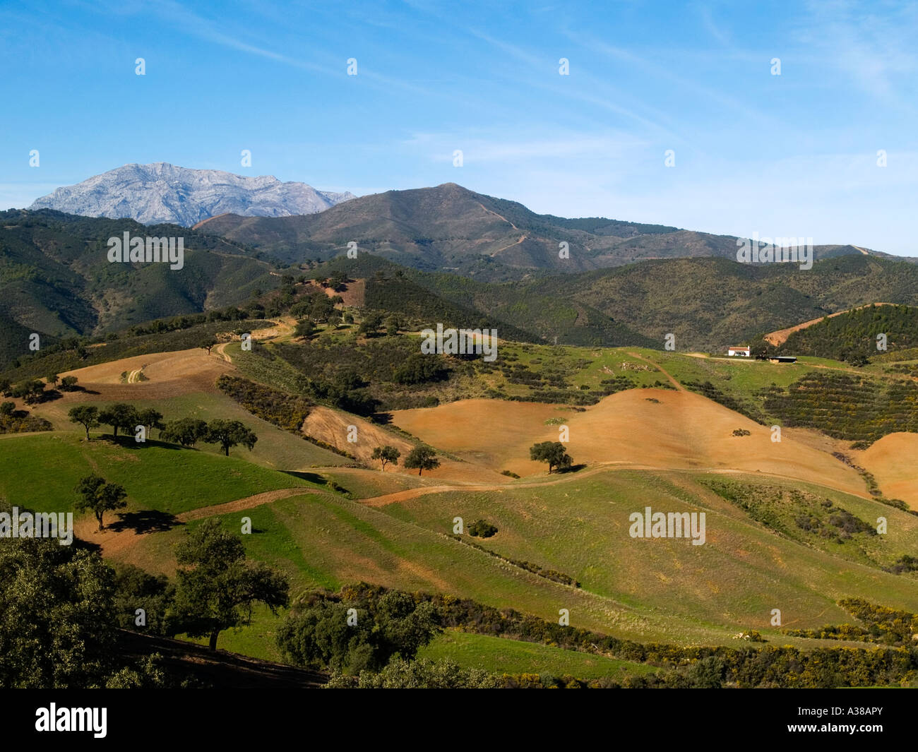 Typical Andalucian countryside near Monda Marbella Andalusia Spain ...