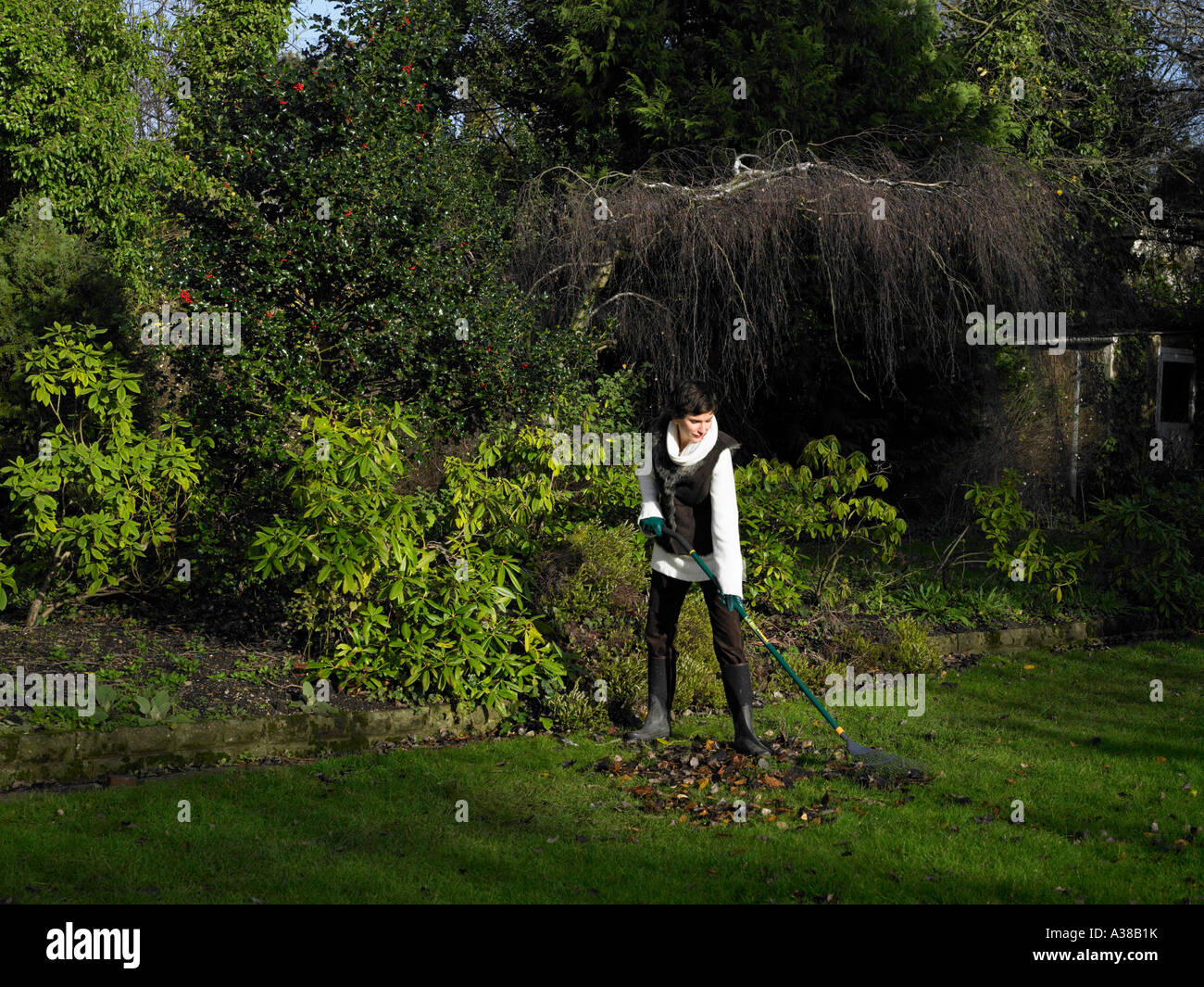Grass lawn borders leaves hi-res stock photography and images - Alamy