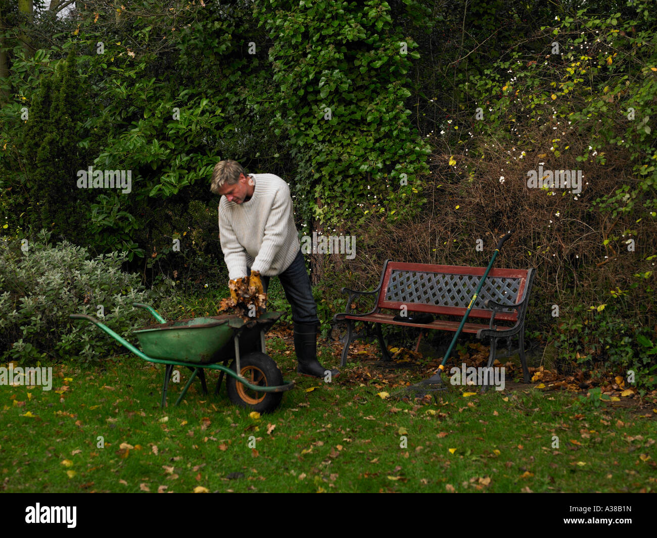 clearing leaves from autumn garden Stock Photo - Alamy