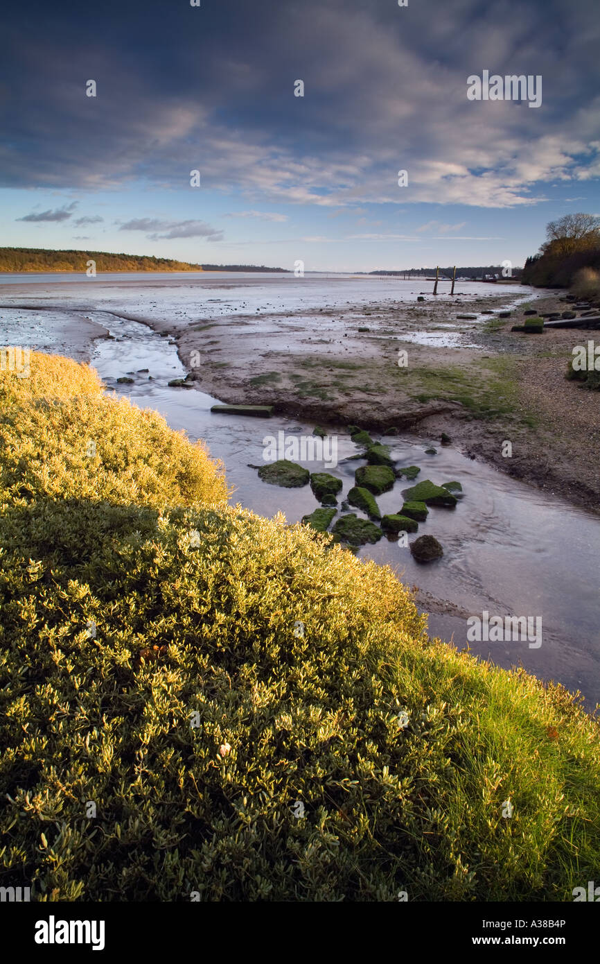Orwell Estuary, Suffolk Stock Photo - Alamy