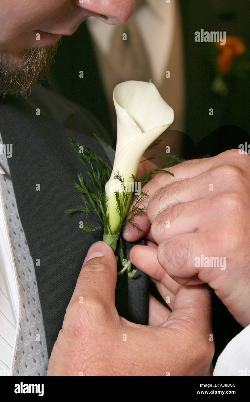 Pinning a Flower to the Lapel of a Wedding Tux Stock Photo - Alamy