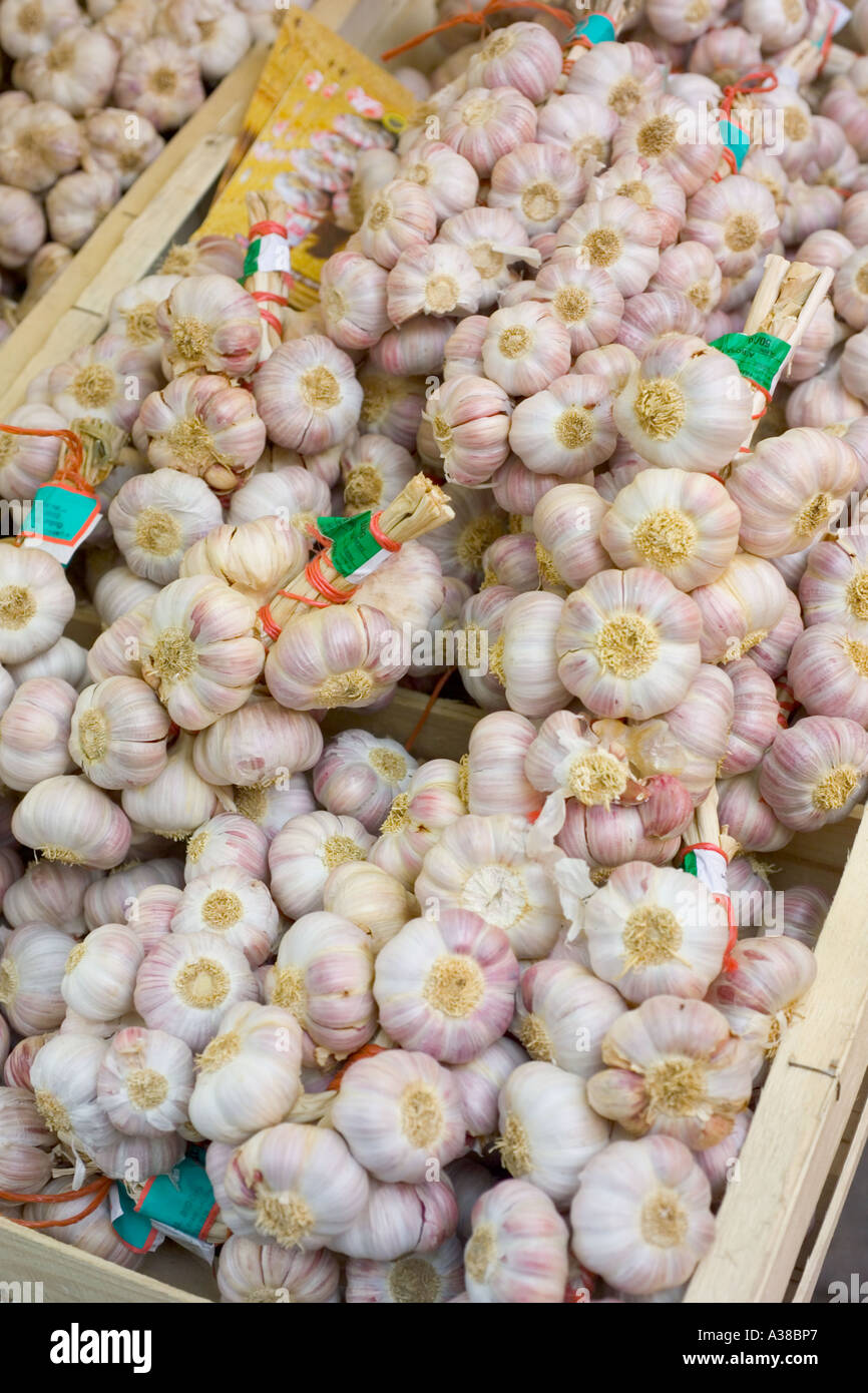 Garlic on sale in French Market in New Road Gravesend Kent Stock Photo ...