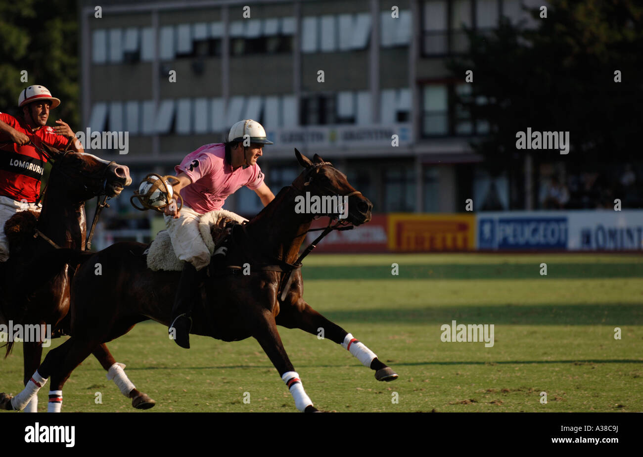 Pato horse hi-res stock photography and images - Alamy