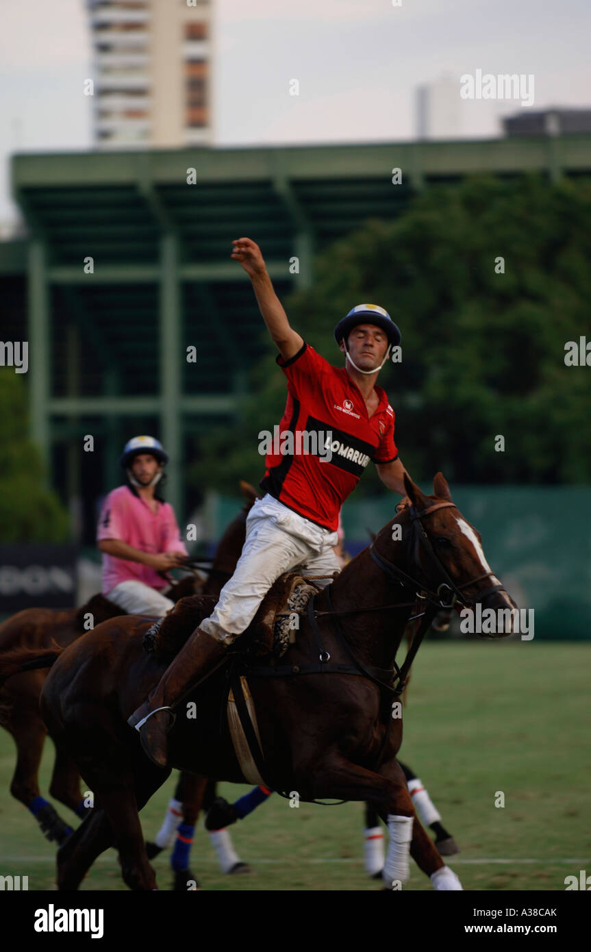 Pato horse hi-res stock photography and images - Alamy