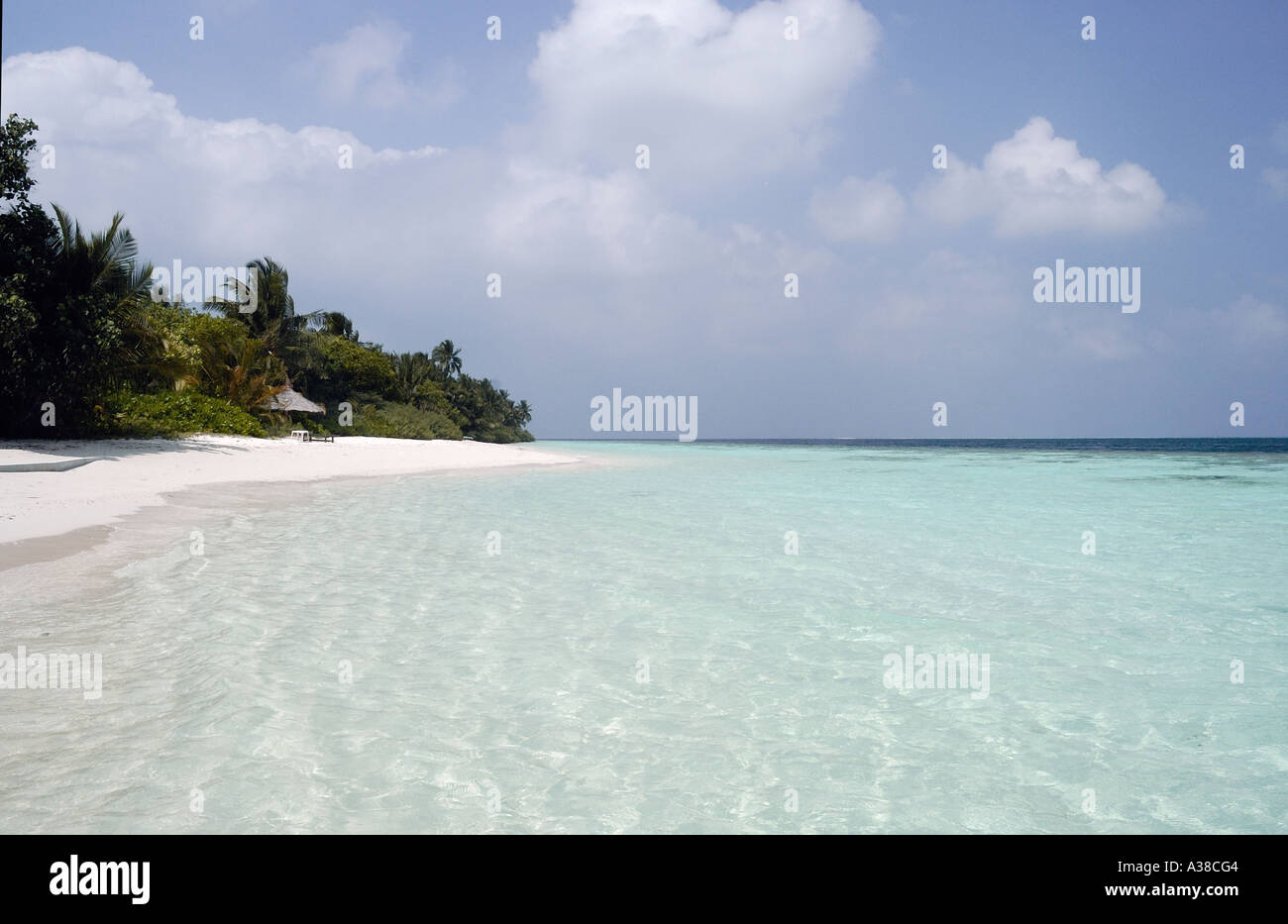 white sand beach, Maldives Stock Photo - Alamy
