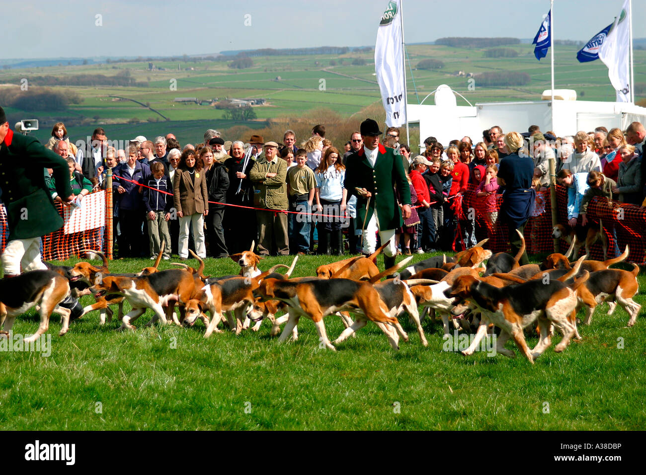 Hunt animals countryside england hi-res stock photography and images ...