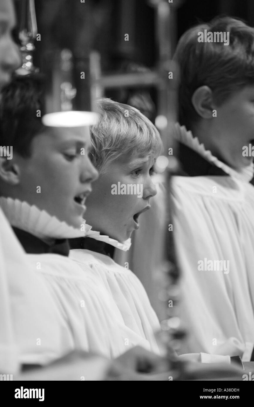 Choir boy sings at Rippon Cathedral Stock Photo - Alamy