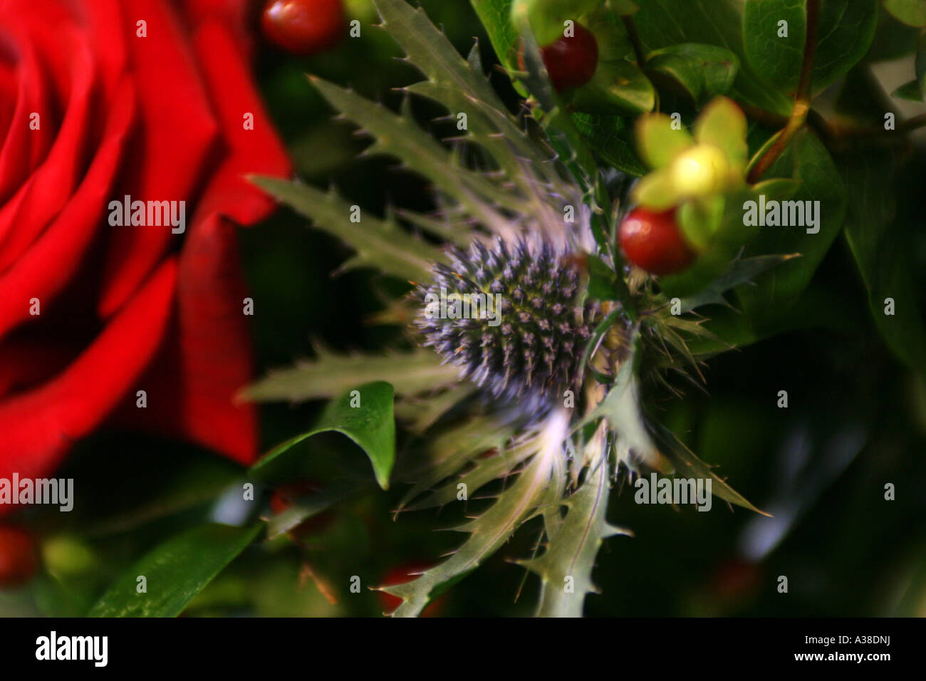 Flowers in the church at a traditional Scottish winter wedding Stock ...