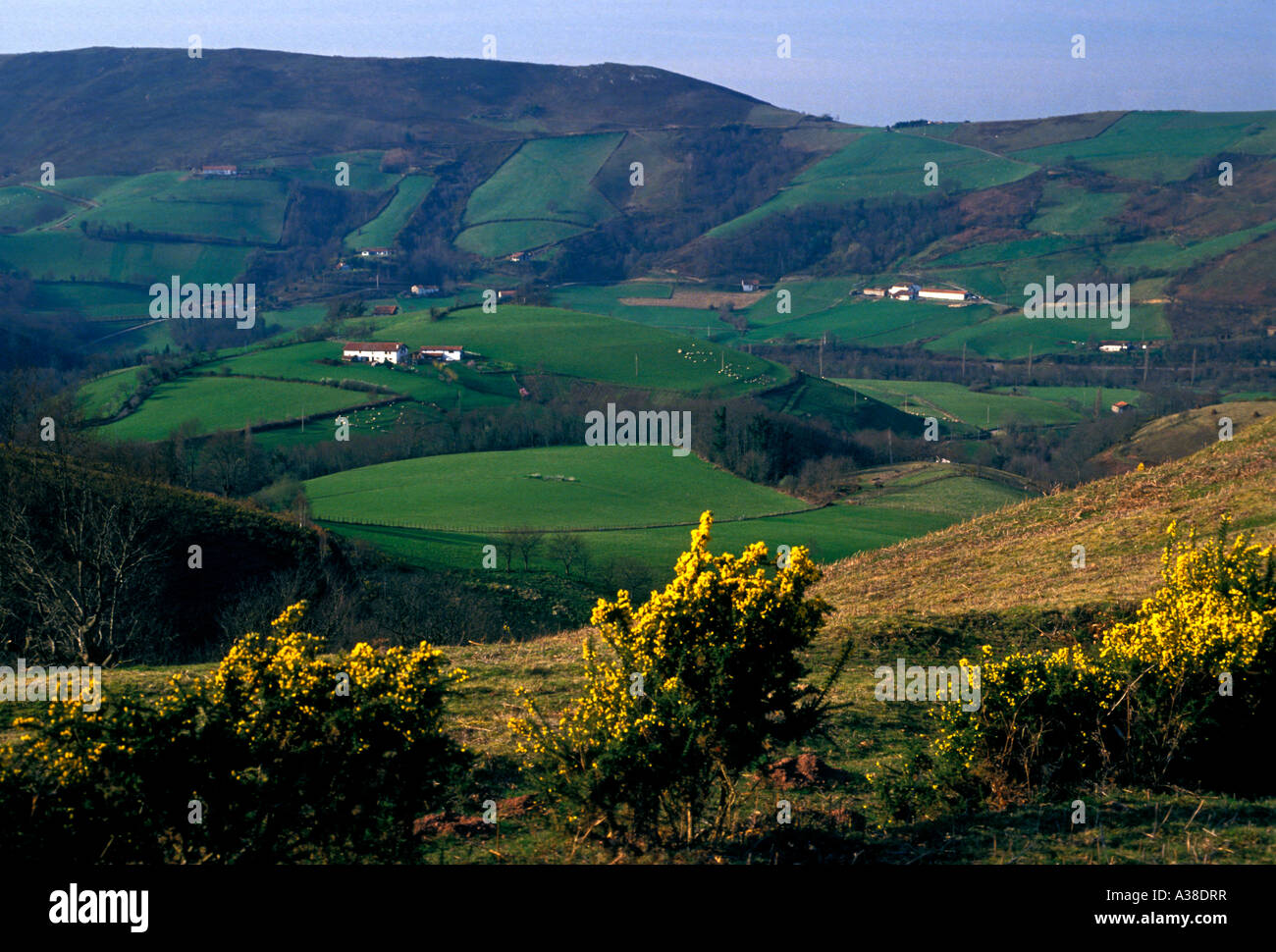 Farmstead farm farmhouse pasture land in the French Basque Country in ...