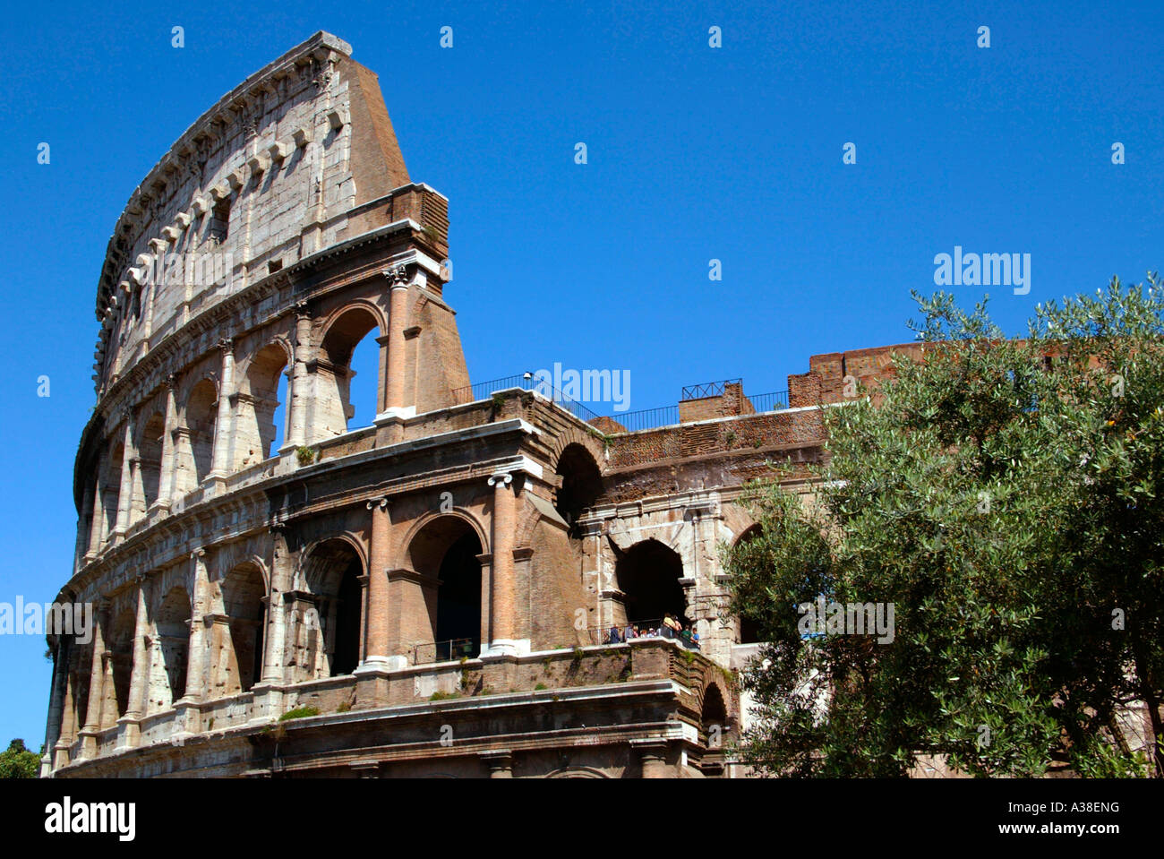 Rom Kolosseum, Coloseum in Roma Italy Stock Photo - Alamy