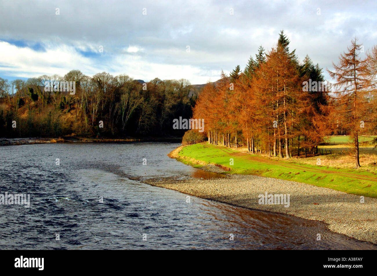 River tweed dryburgh abbey hi-res stock photography and images - Alamy
