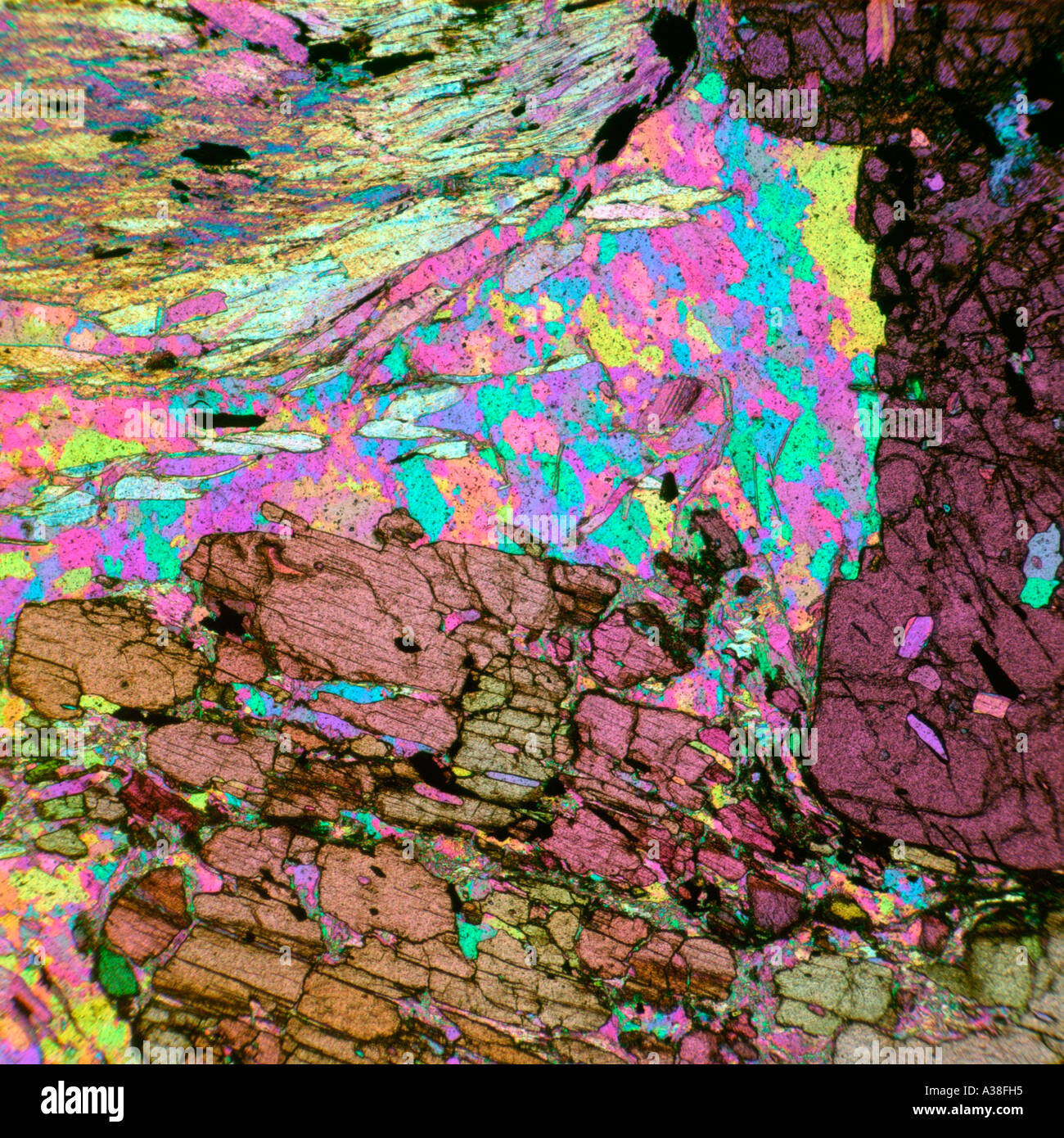 Rock conglomerate section photomicrograph cross polarized lighting ... Rock conglomerate section photomicrograph cross polarized lighting ...