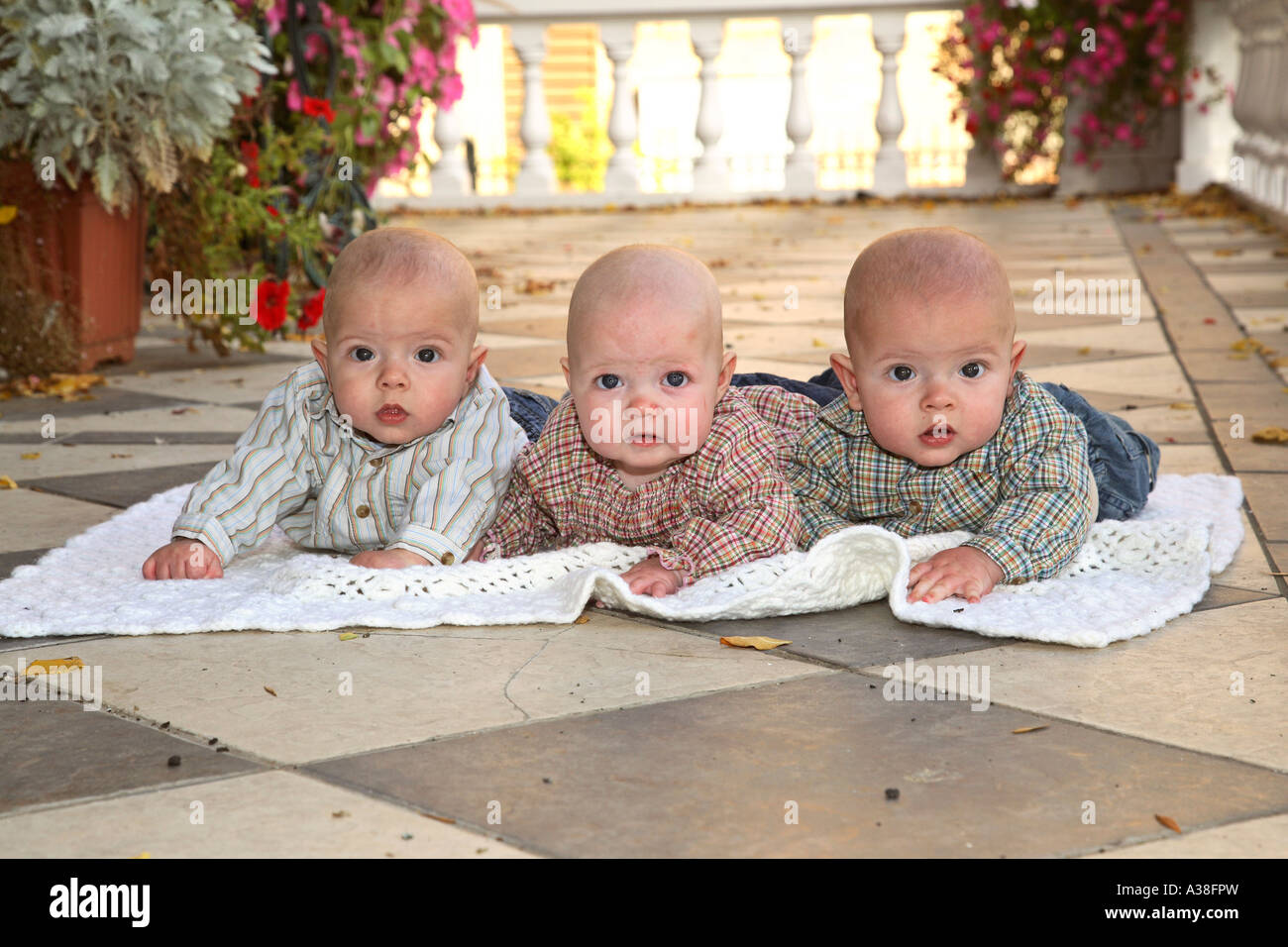 Triplet babies hi-res stock photography and images - Alamy