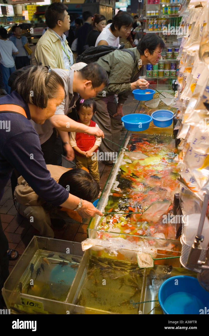 Shopping for aquarium fish in Mongkok, Hong Kong Stock Photo - Alamy