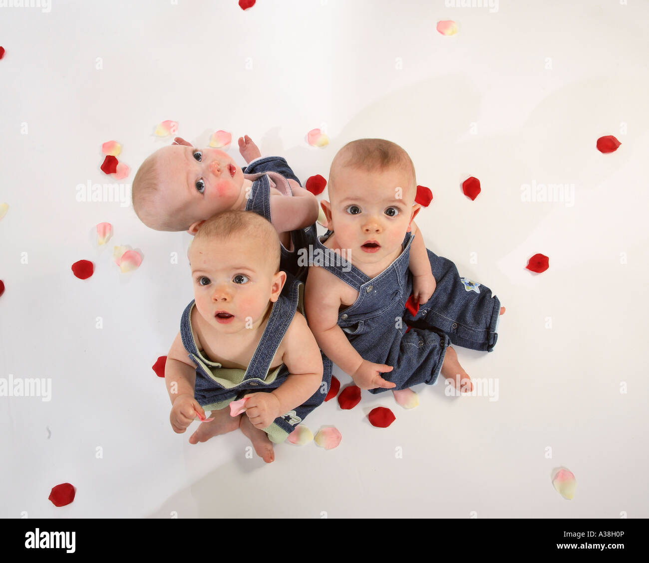 triplets on white background Stock Photo - Alamy