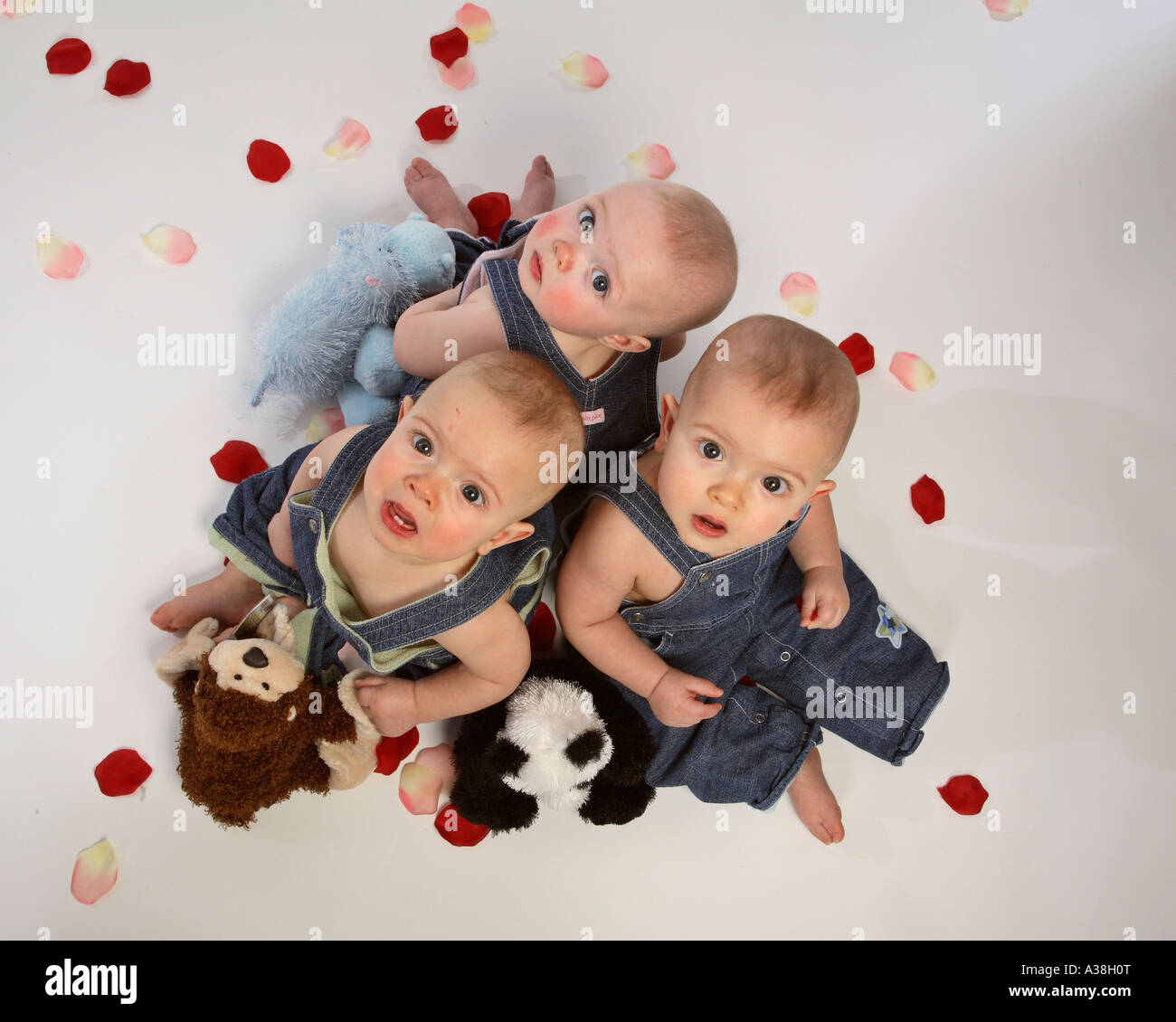 triplets on white background Stock Photo - Alamy