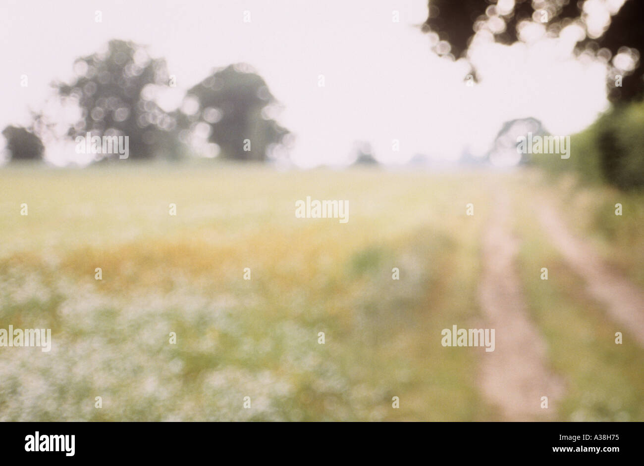 Track Across Field High Resolution Stock Photography and Images - Alamy