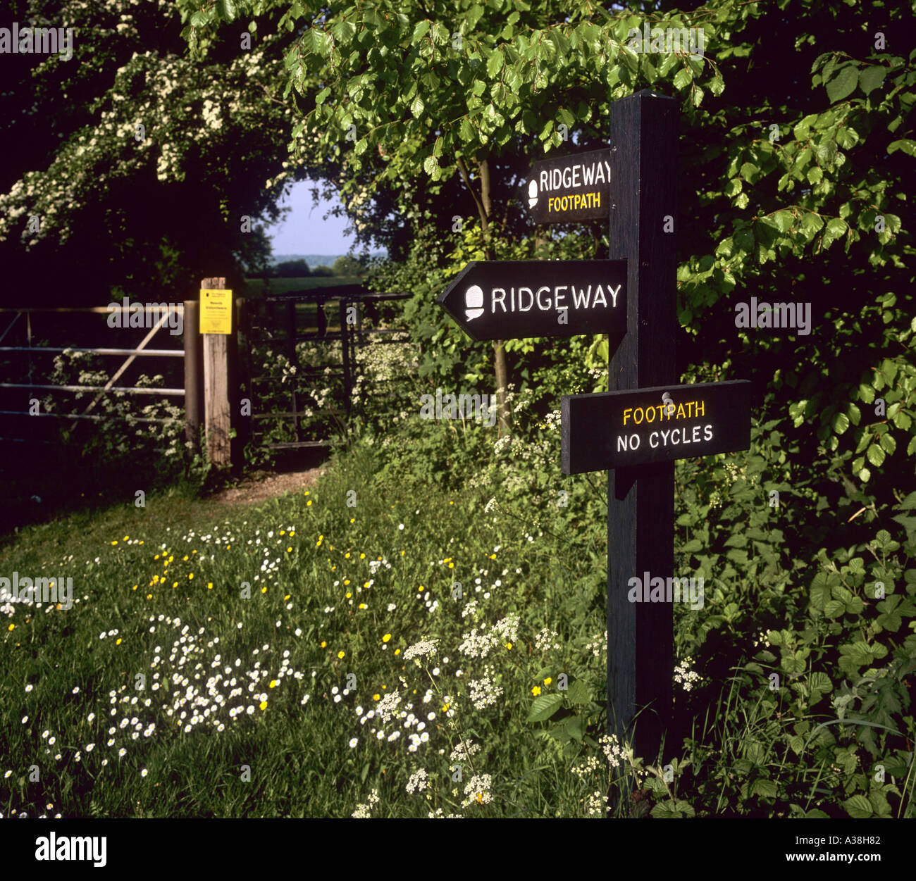 Ridgeway national trail hi-res stock photography and images - Alamy