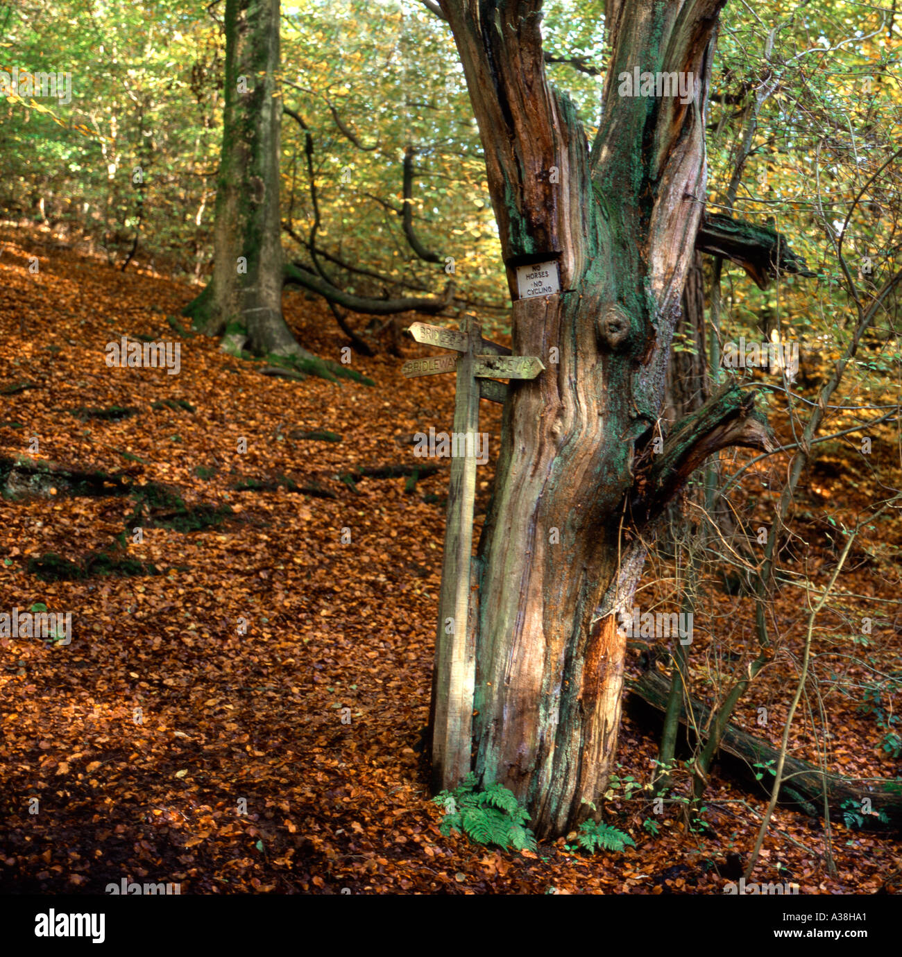 Waggoners wells hi-res stock photography and images - Alamy