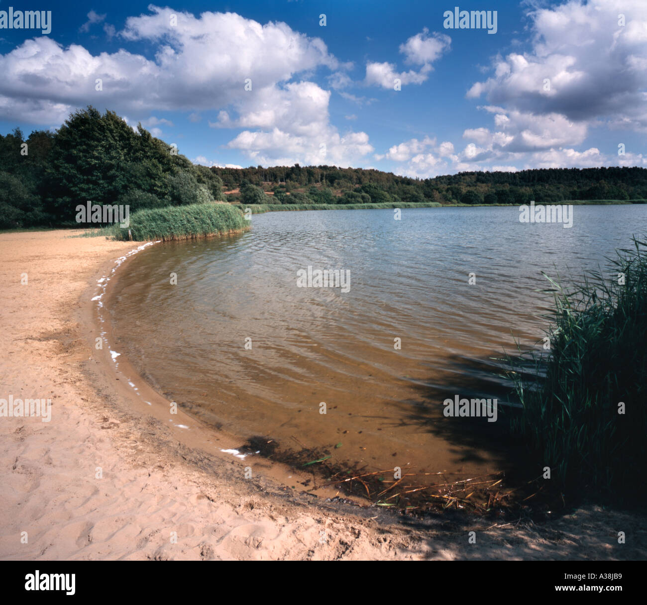 Frensham beach surrey uk hi-res stock photography and images - Alamy